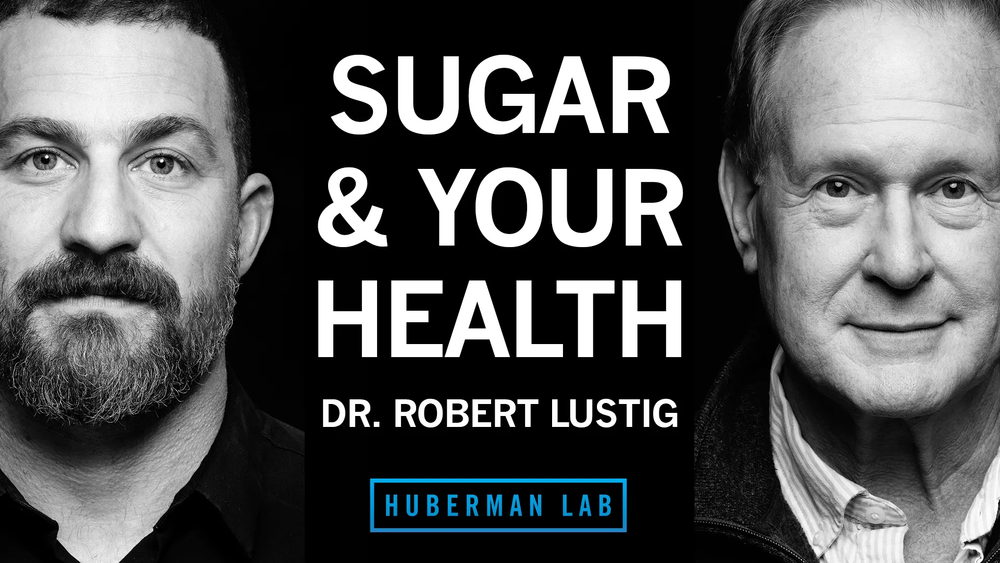 ACTION PLAN: Dr. Robert Lustig on the Huberman Lab - Snow Holistic Health