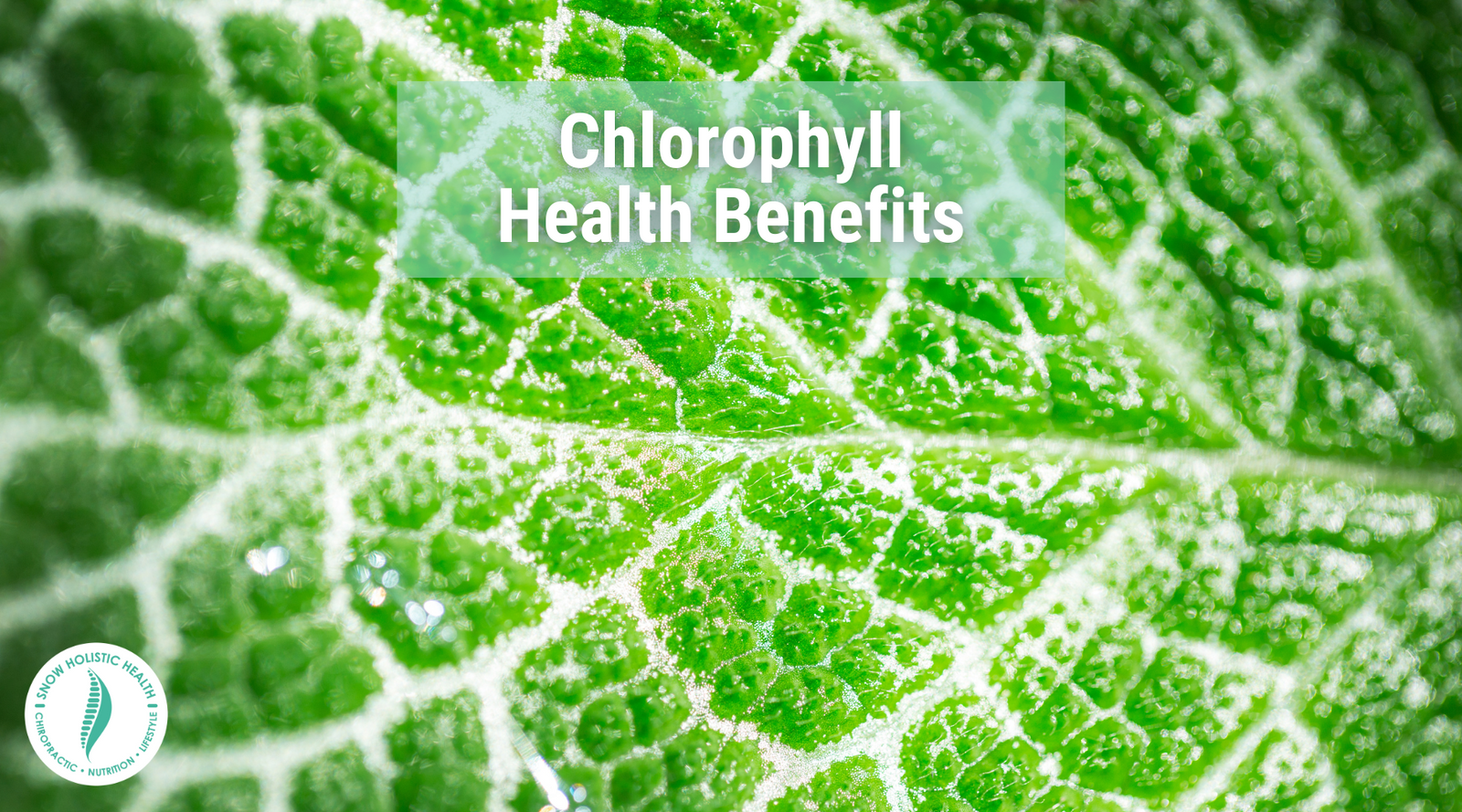 Chlorophyll Health Benefits - Snow Holistic Health