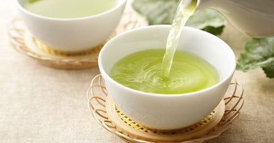 The Benefits & Proper Dosage Of ECGC Along With Safety Tips - Snow ...