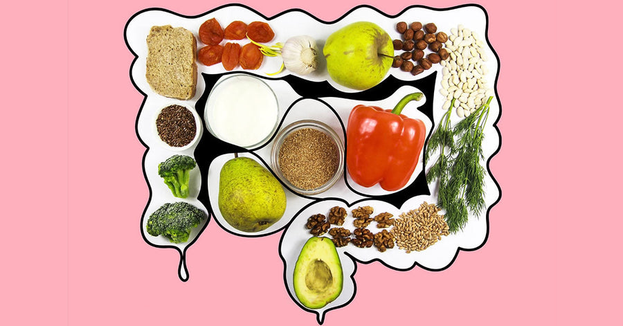 7 Signs of an Unhealthy Gut and What to Do - Snow Holistic Health